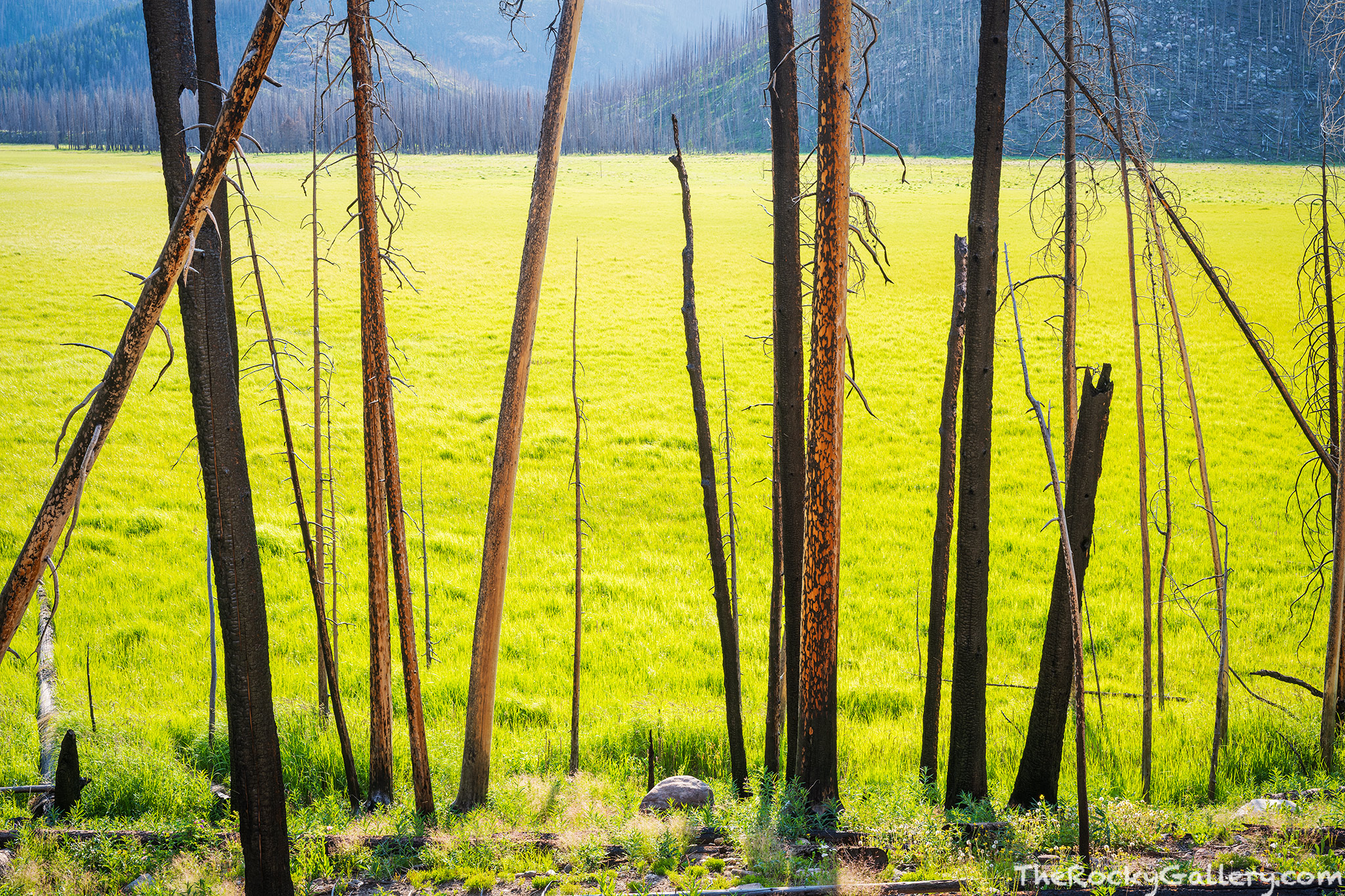 Big Meadows Cope | Thomas Mangan Photography Blog - The Rocky Gallery Blog