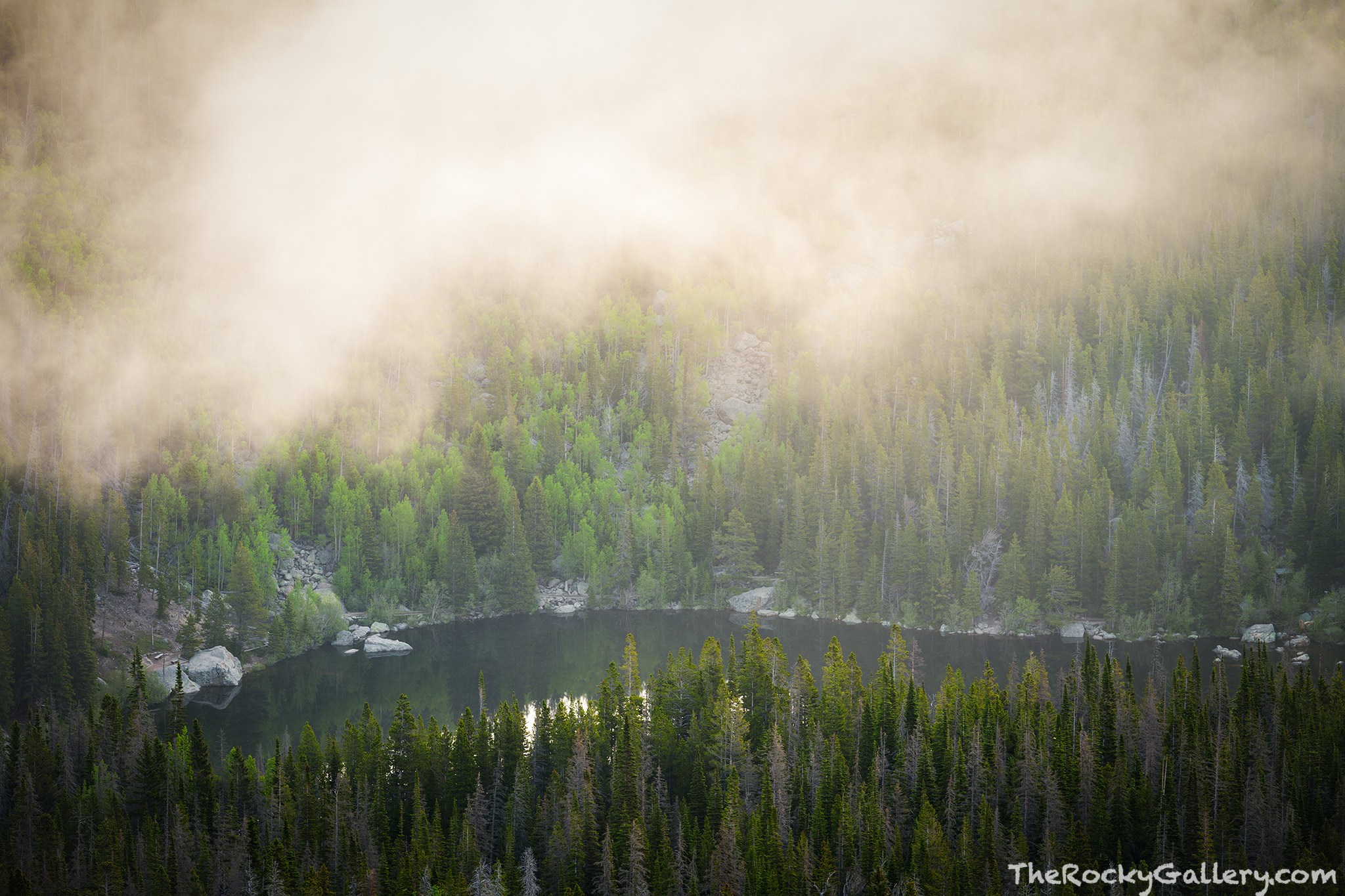 Clouded Bear | Rocky Mountain National Park, Colorado | Thomas Mangan ...