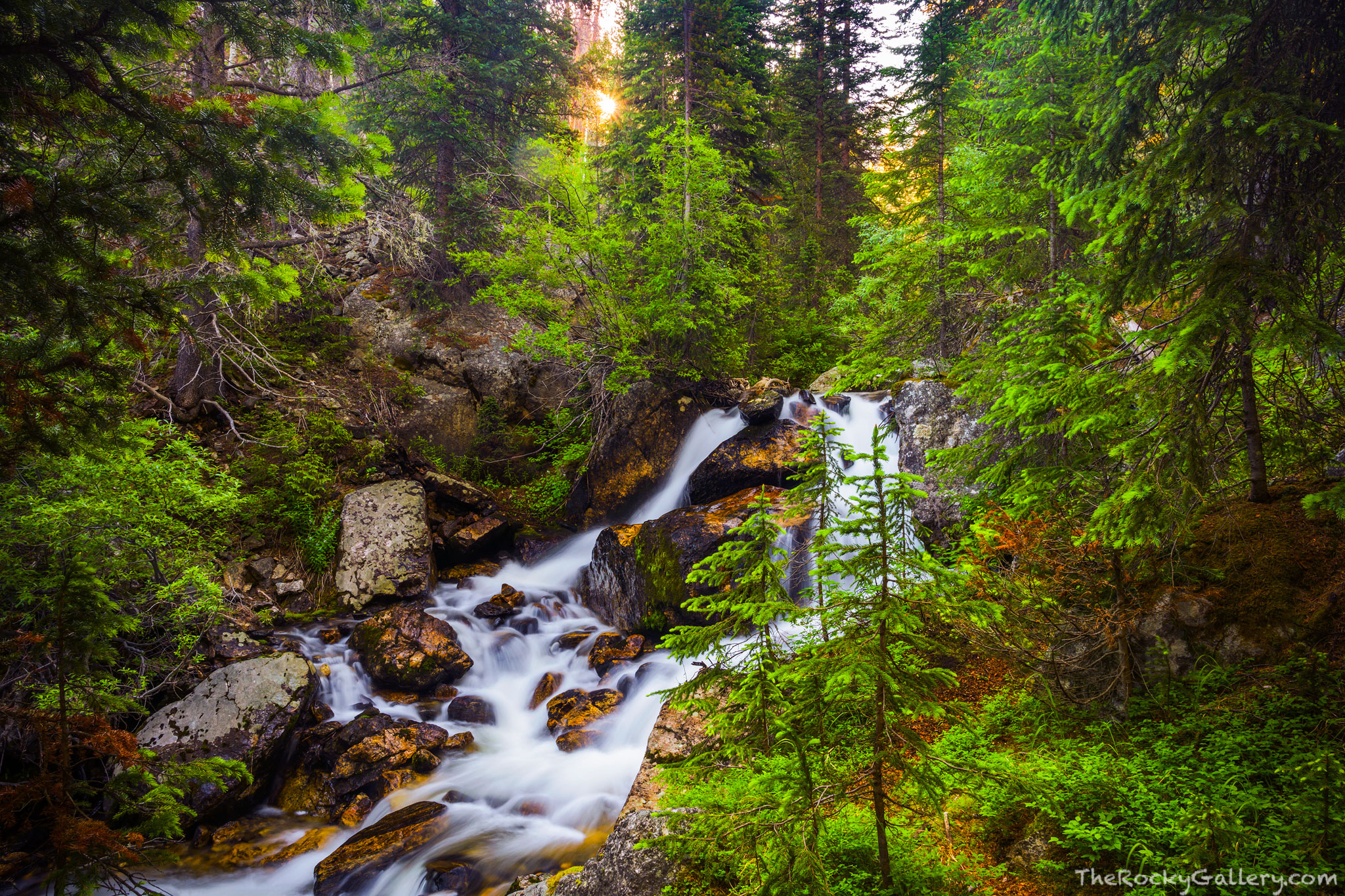 Take A Peek | Rocky Mountain National Park, Colorado | Thomas Mangan ...