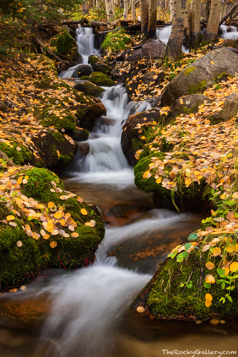 Bounding Brook | Rocky Mountain National Park, Colorado | Thomas Mangan ...