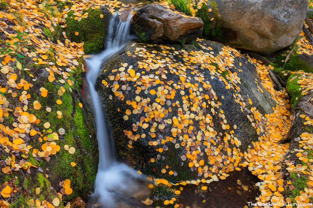 Meandering Boulders | Rocky Mountain National Park, Colorado | Thomas ...