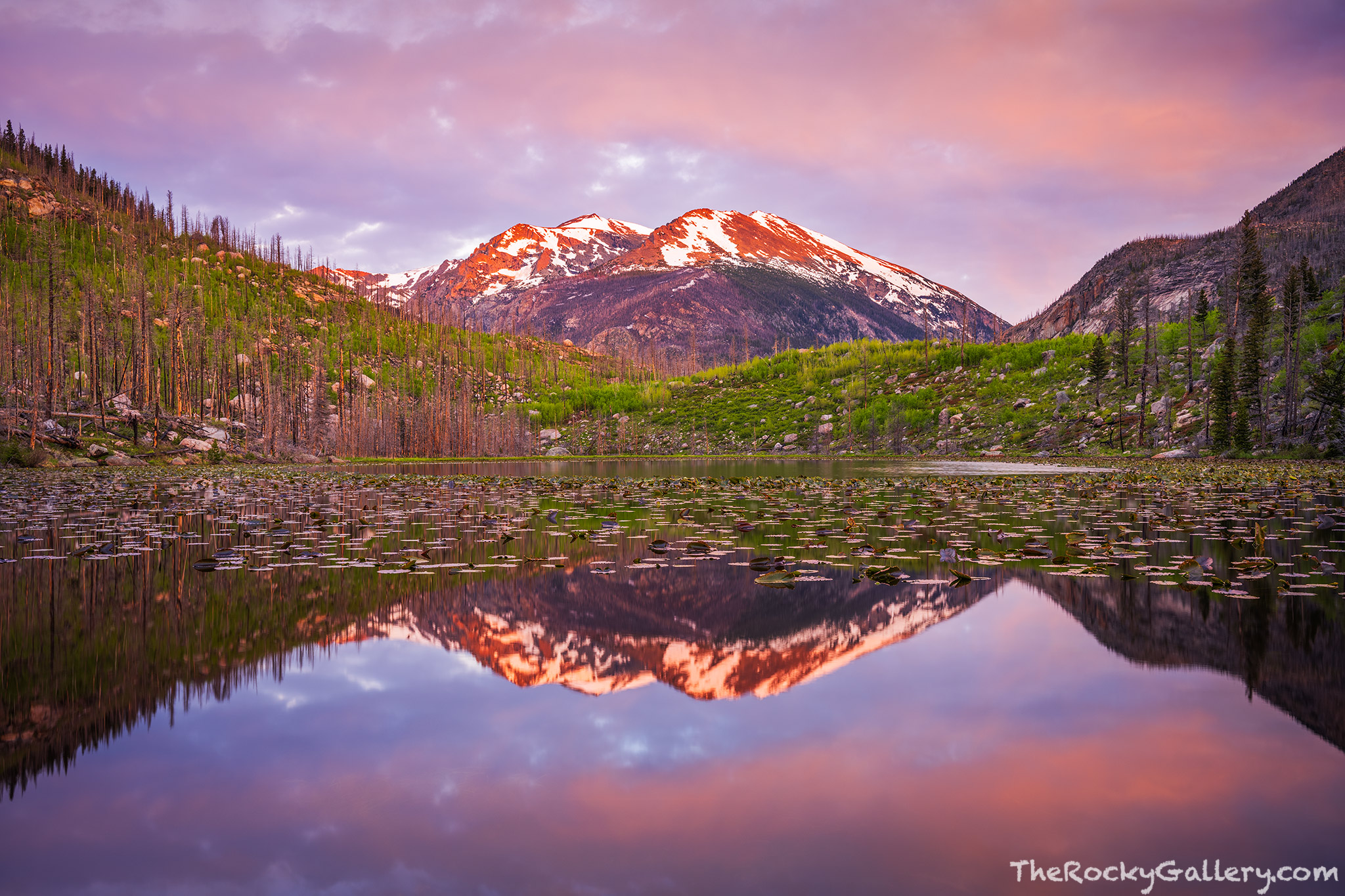 A Spring Morning On Cub Lake | Rocky Mountain National Park, Colorado ...