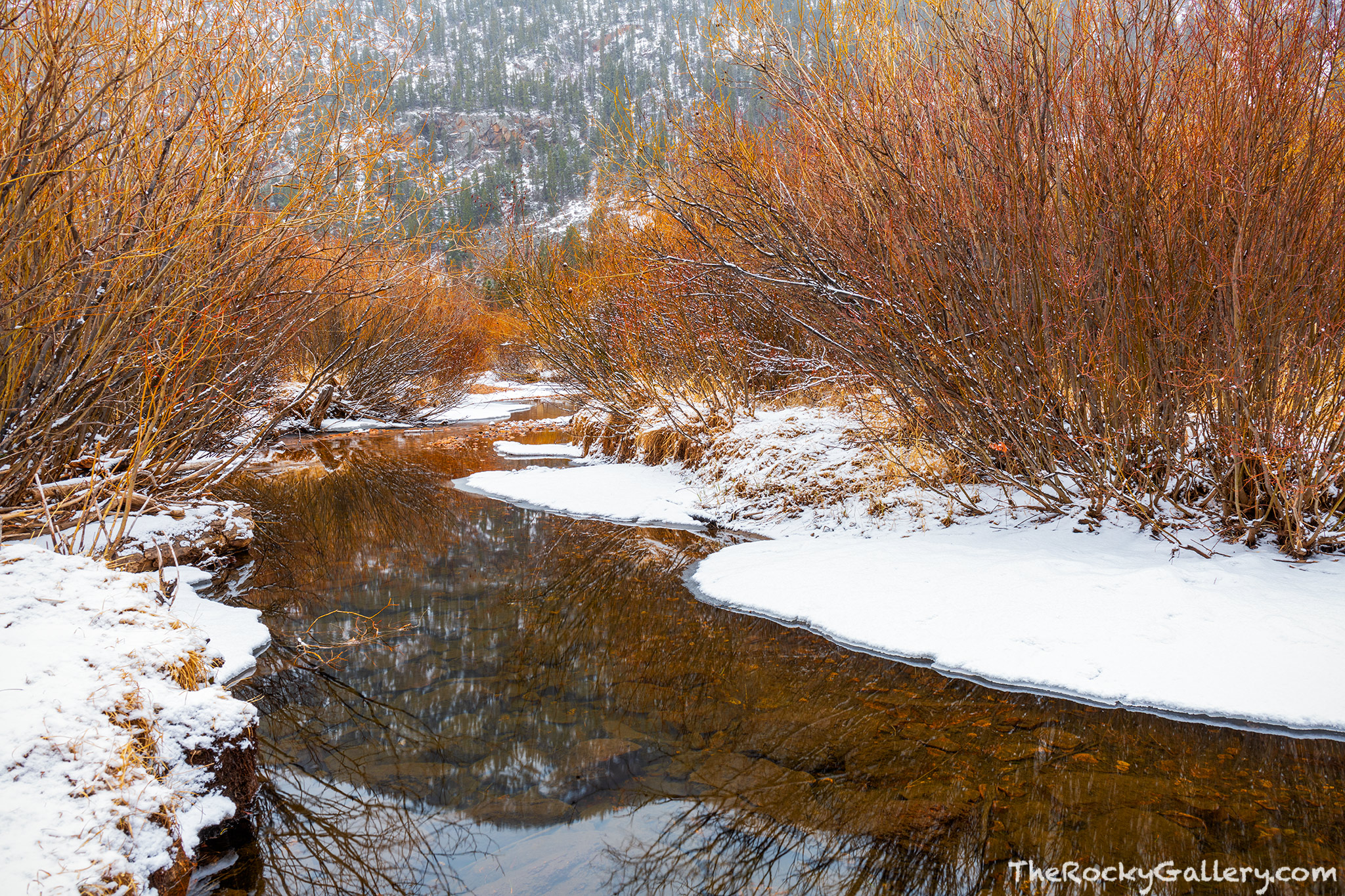 Drifting Through The Willows | Rocky Mountain National Park, Colorado ...