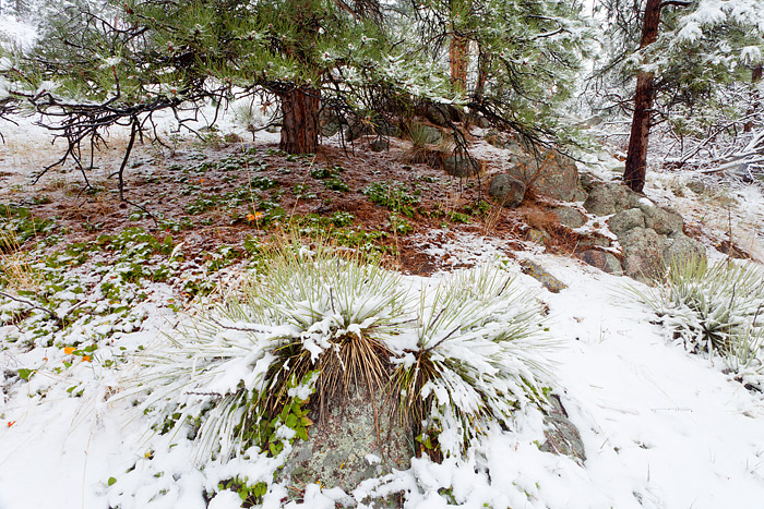 Springtime On Flagstaff Summit | Boulder, Colorado | Thomas Mangan ...