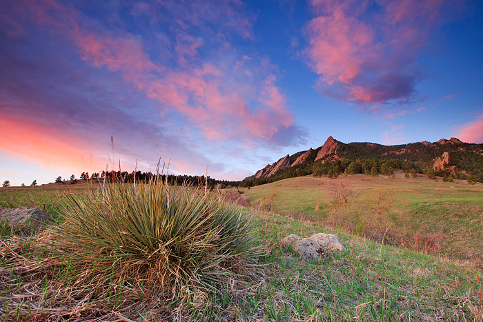 Spring's In The Meadow | Boulder, Colorado | Thomas Mangan Photography ...