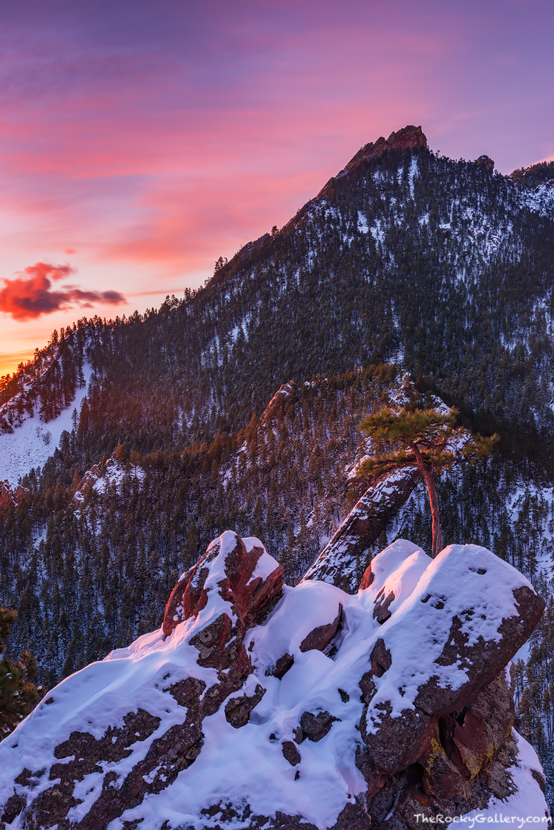 Oh Gregory! | Boulder,Colorado | Thomas Mangan Photography - The Rocky ...