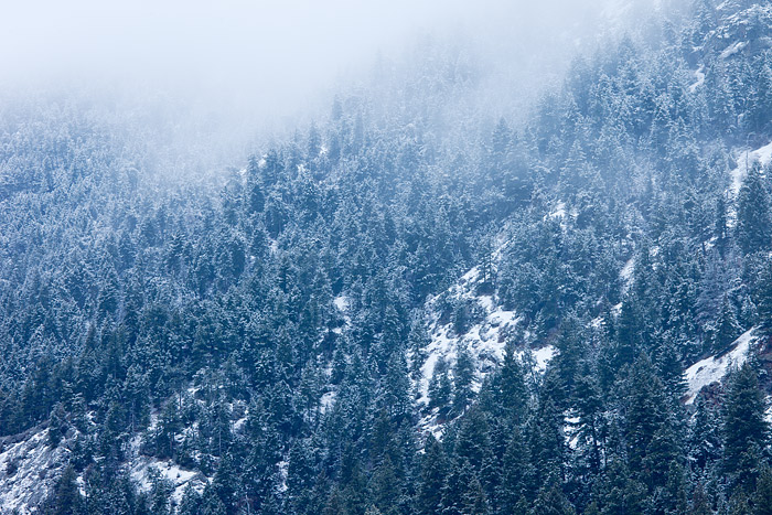 Boulder Foothills Blues | Boulder, Colorado | Thomas Mangan Photography ...