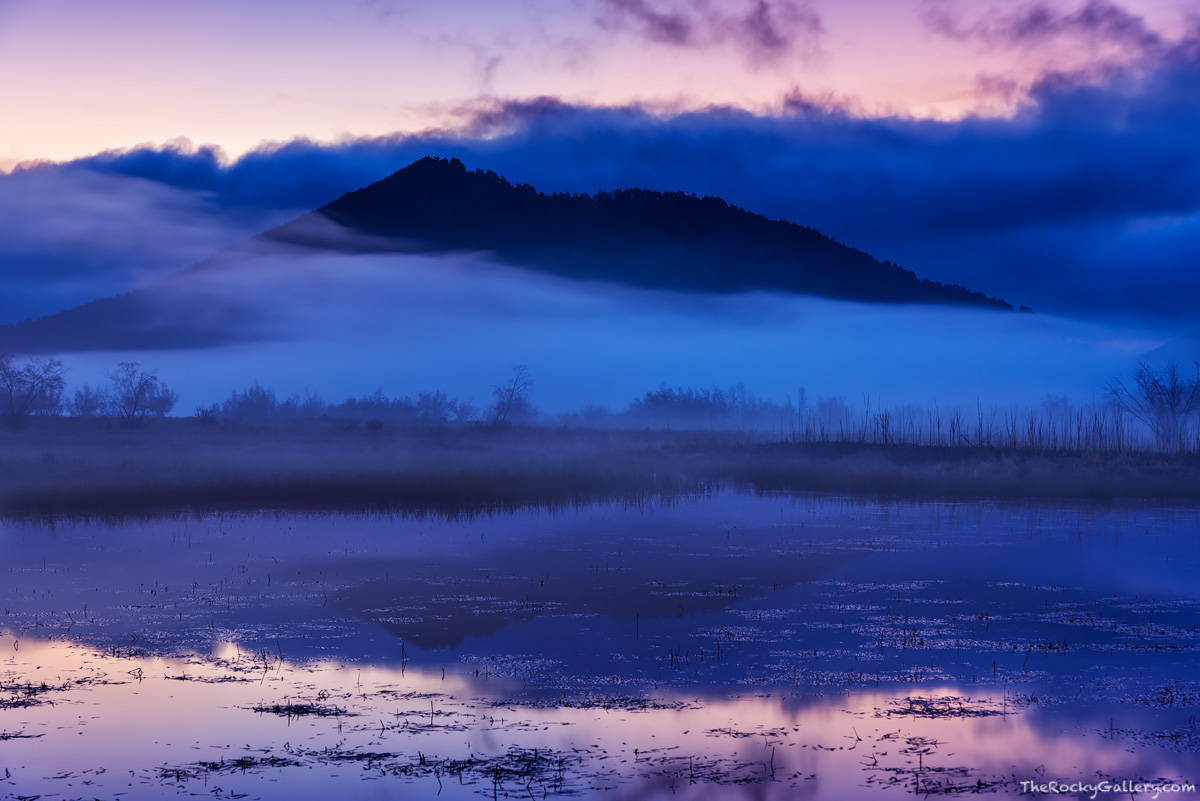 Rising Eagle | Rocky Mountain National Park, Colorado | Thomas Mangan ...