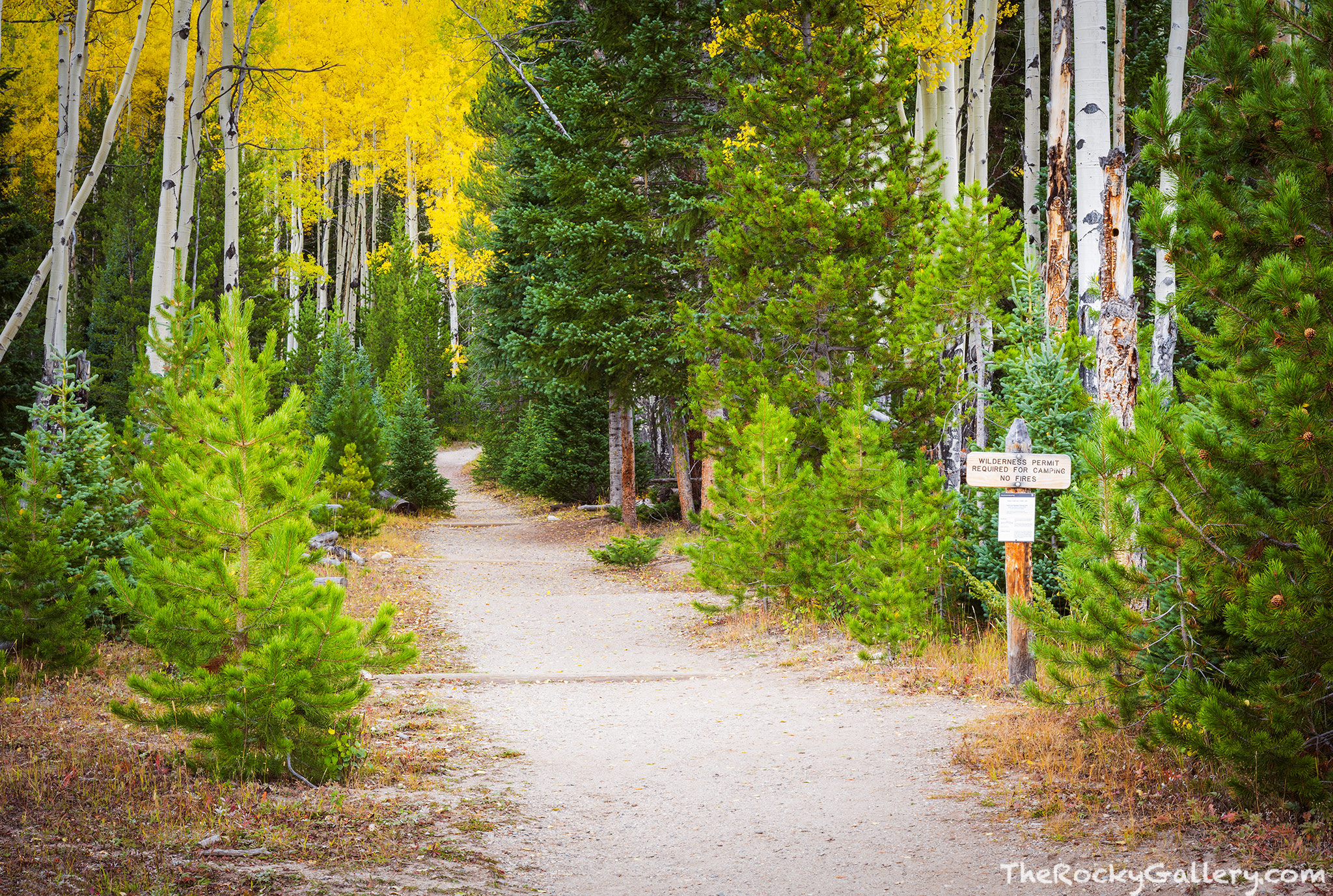 Timber Lake Trailhead | Rocky Mountain National Park, Colorado | Thomas ...