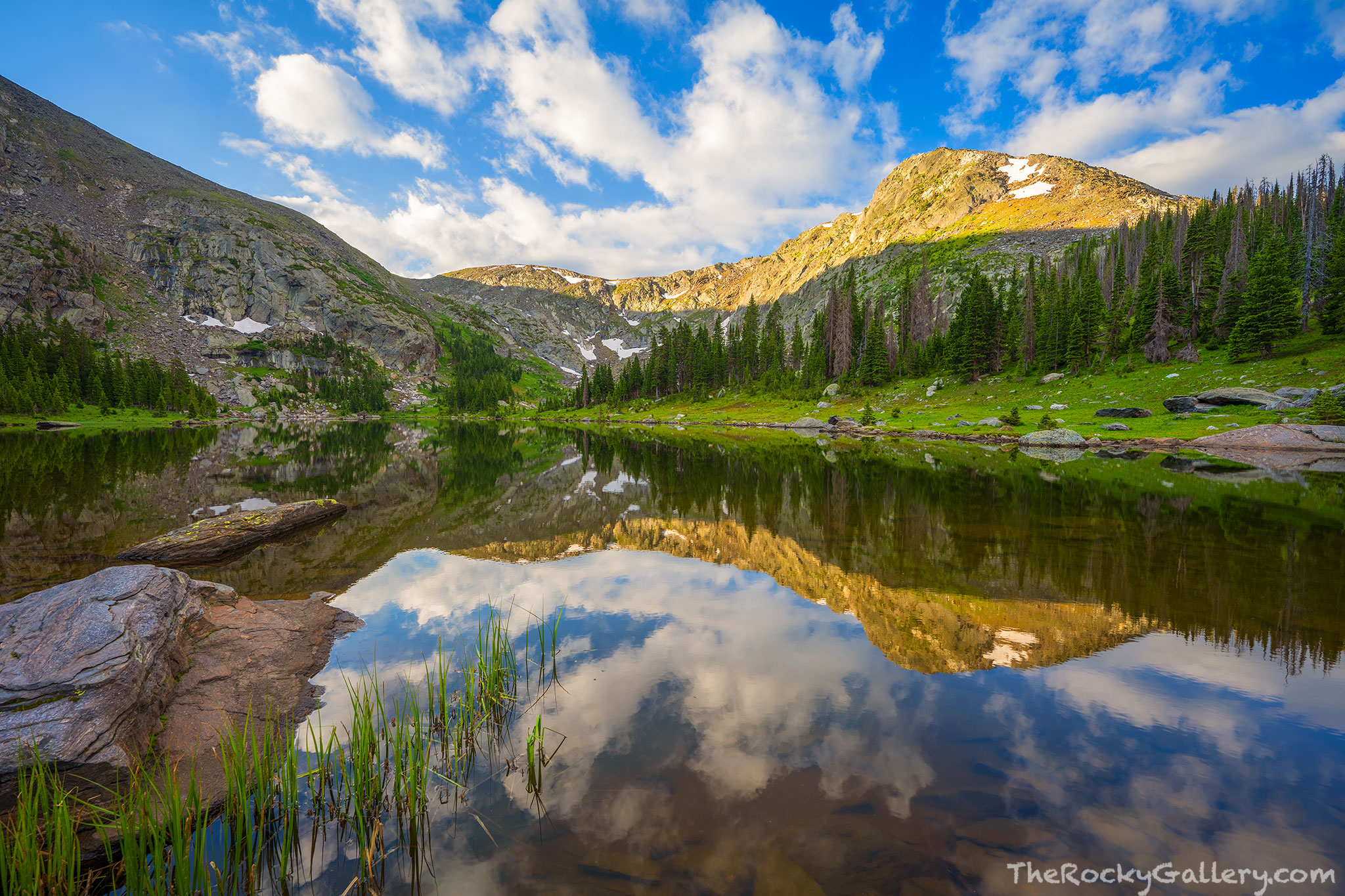 Timber! | Rocky Mountain National Park, Colorado | Thomas Mangan ...