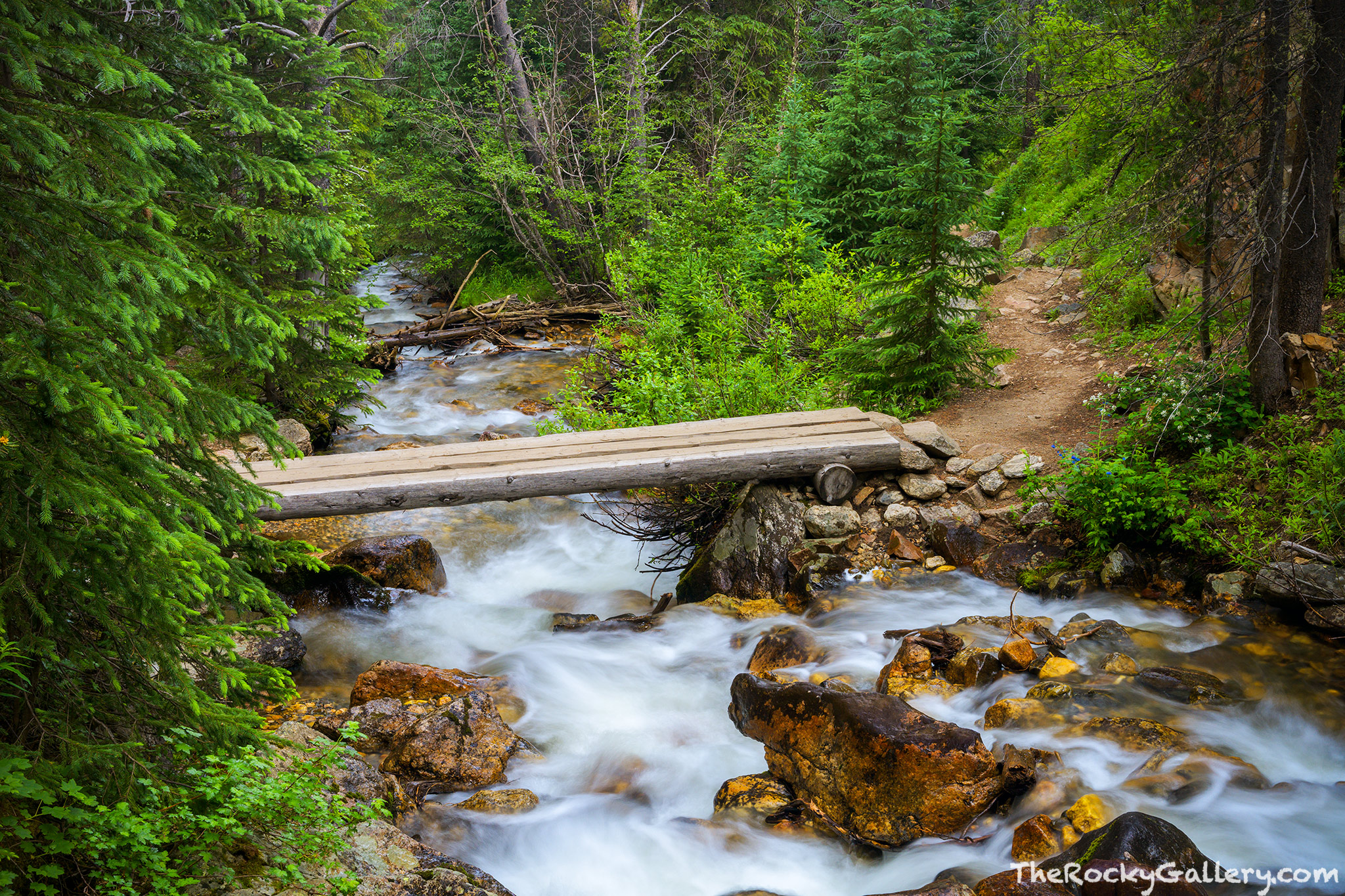 Bridge Over Beaver Creek | Rocky Mountain National Park, Colorado ...
