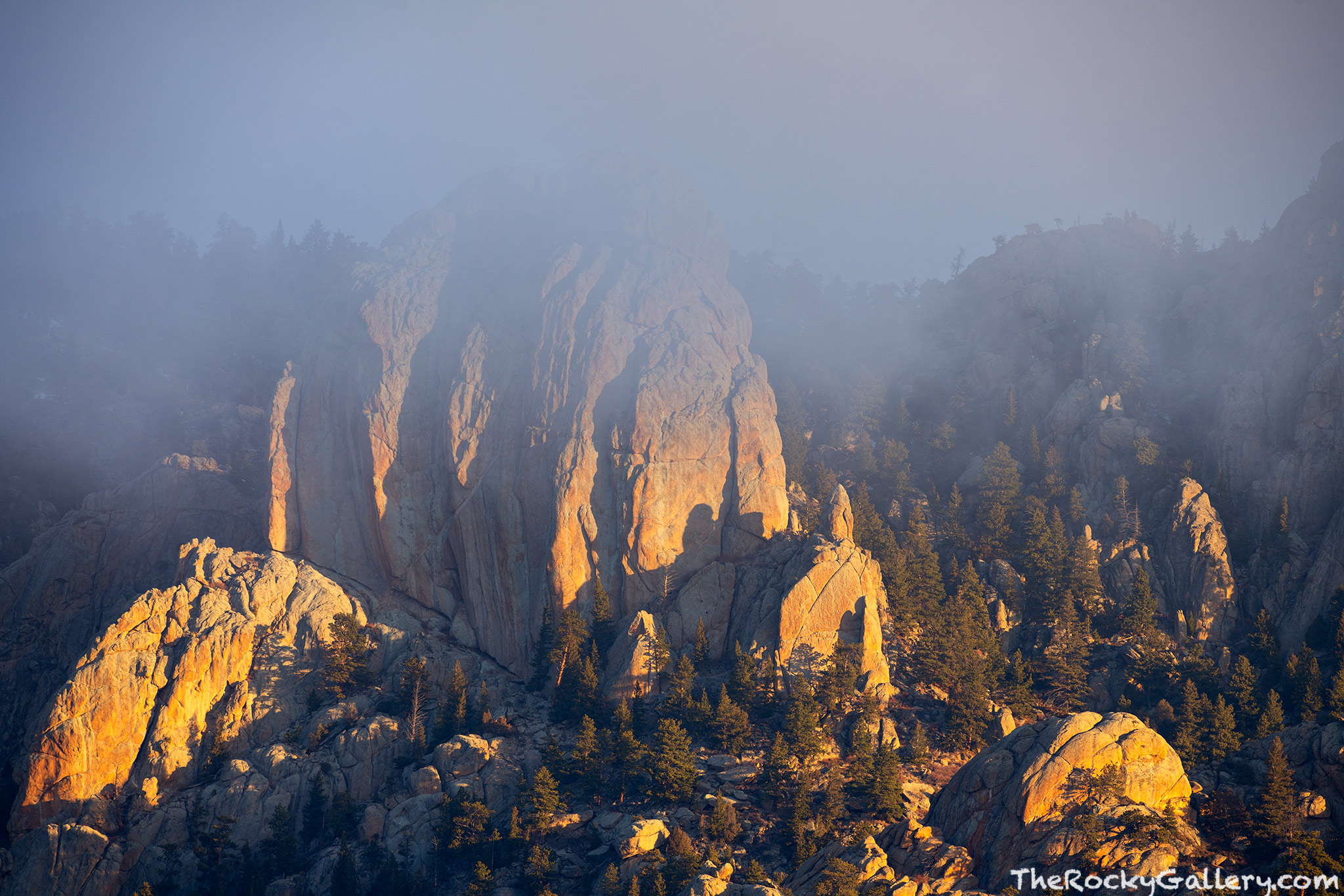 Owls Revealed | Rocky Mountain National Park, Colorado | Thomas Mangan ...